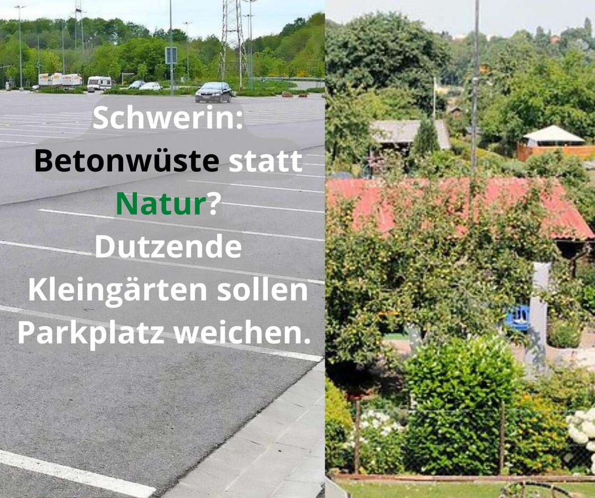 Kleingärten vs Parkplätze. Revitalisierung Freilichtmuseum zu Ungunsten der Kleingartenkultur ...